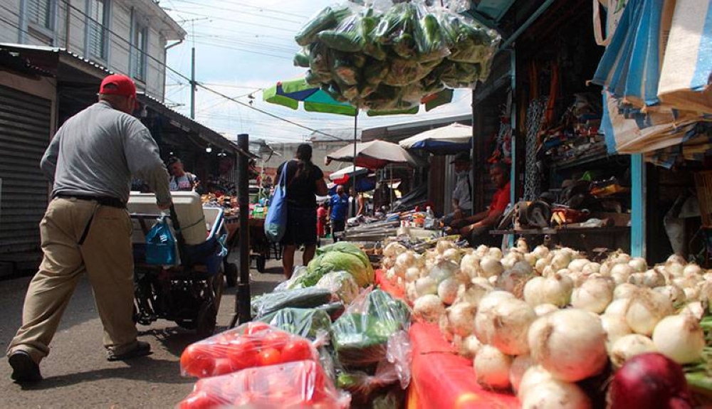 Precios mundiales de los alimentos estables en octubre, según la FAO