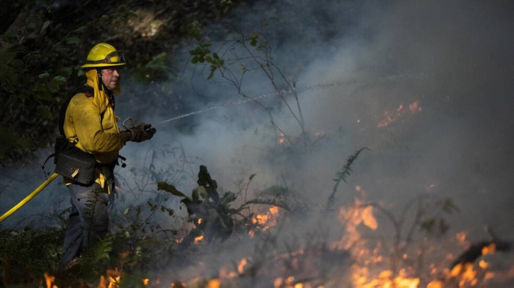 California combate incendios forestales con quemas controladas