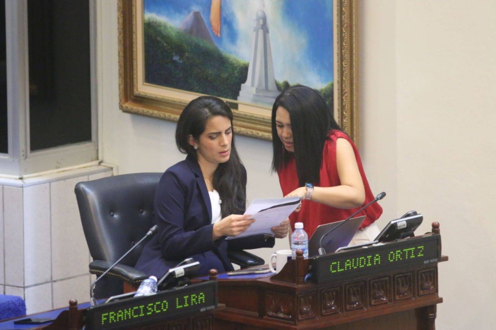Claudia Ortiz pide a la Asamblea rectificar los despidos de personal de ...
